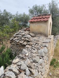 La Fede Rurale e l’Uso delle Edicole Votive: Un Legame Millenario tra ...